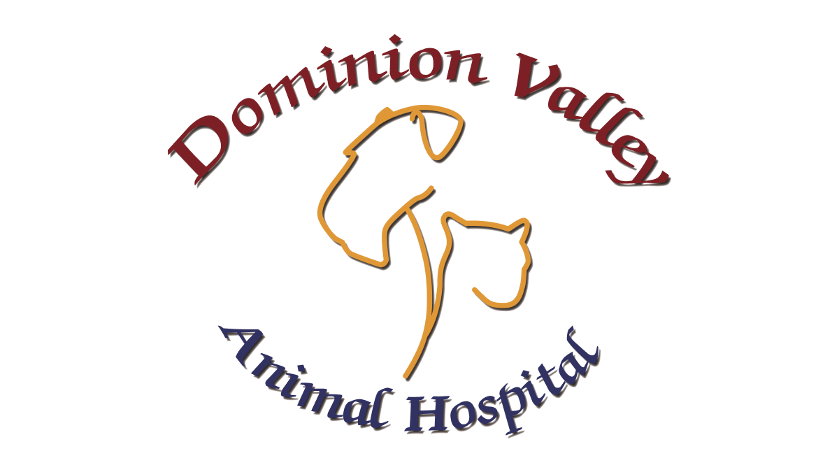 Dr. Ashton Moss | Haymarket, VA | Dominion Valley Animal Hospital